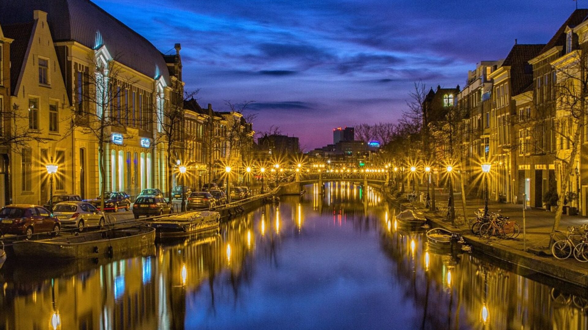 Things to do in Leiden | Must Do's from Castle to Vismarkt