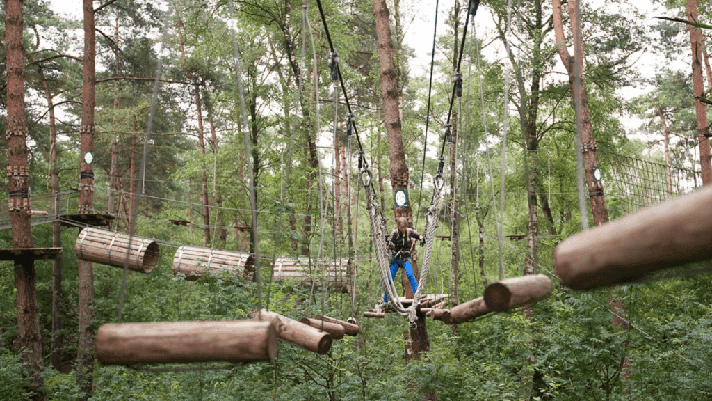 Things to do in Harderwijk | Must Do's from Dolfinarium to Klimbos