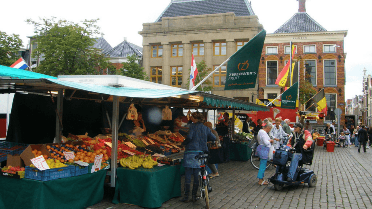 Things to do in Leiden | Must Do's from Castle to Vismarkt