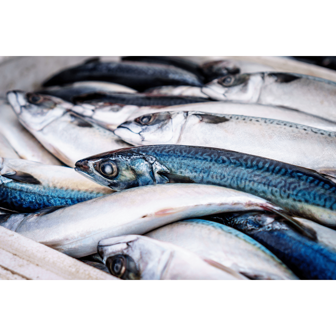 On a trip to Norway? Also spend a wonderful day in Bergen!